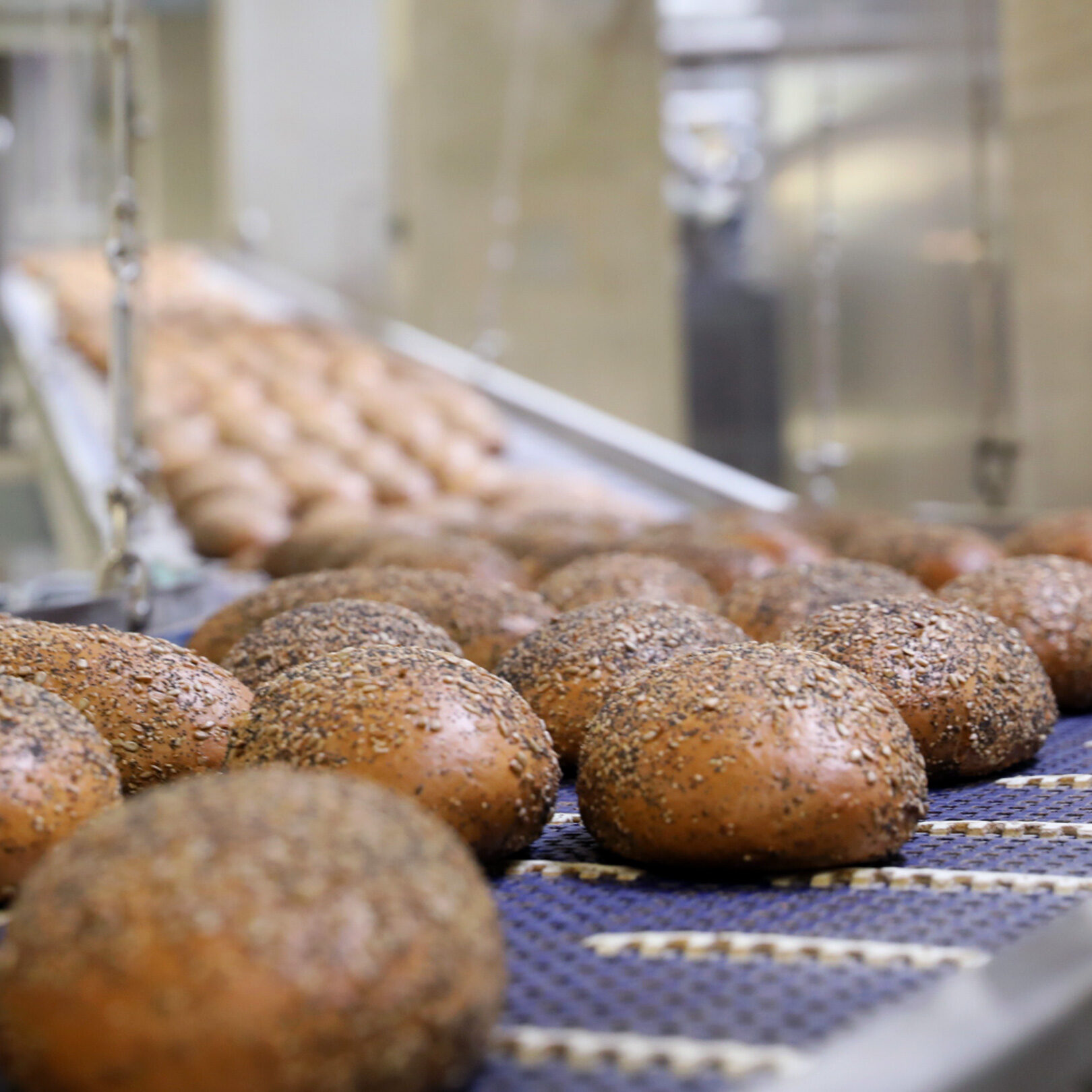 Unsere Brote